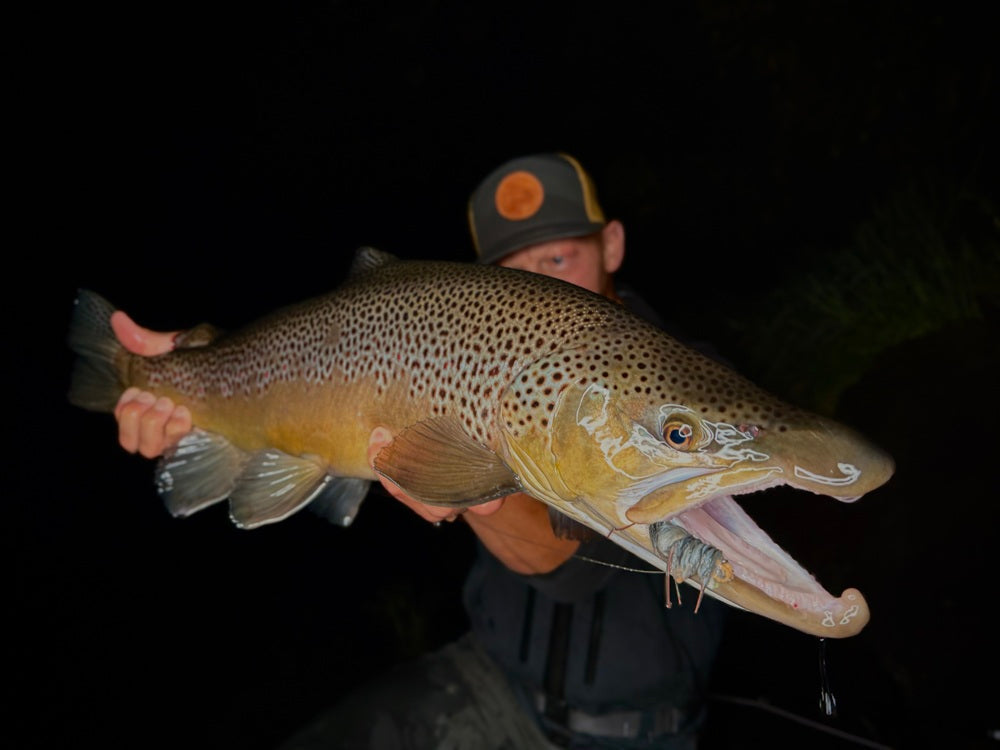 How to Catch Big Brown Trout on Mouse Patterns: 5 Proven Tips – Trout Trap Flies